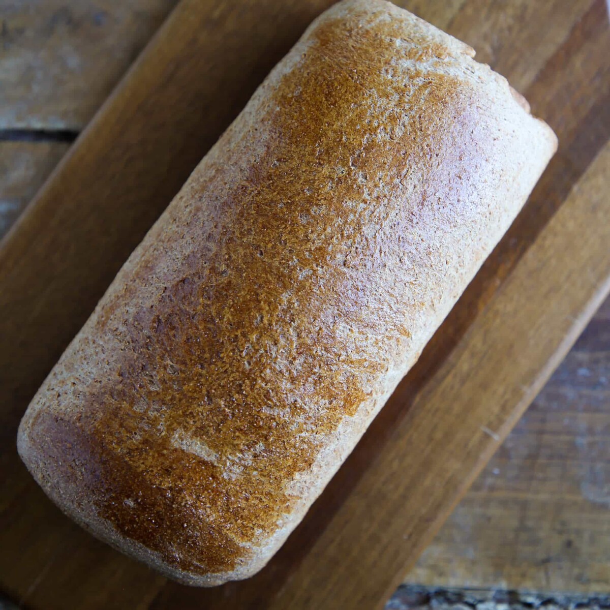 Whole Wheat Bread - American Woman's Cookbook
